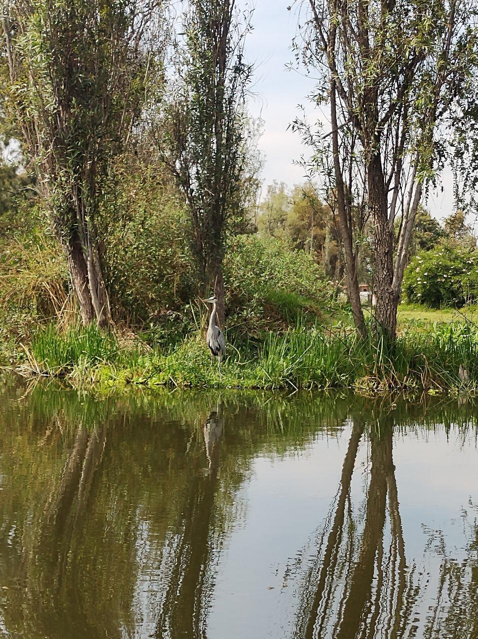 Centro histórico de México y Xochimilco